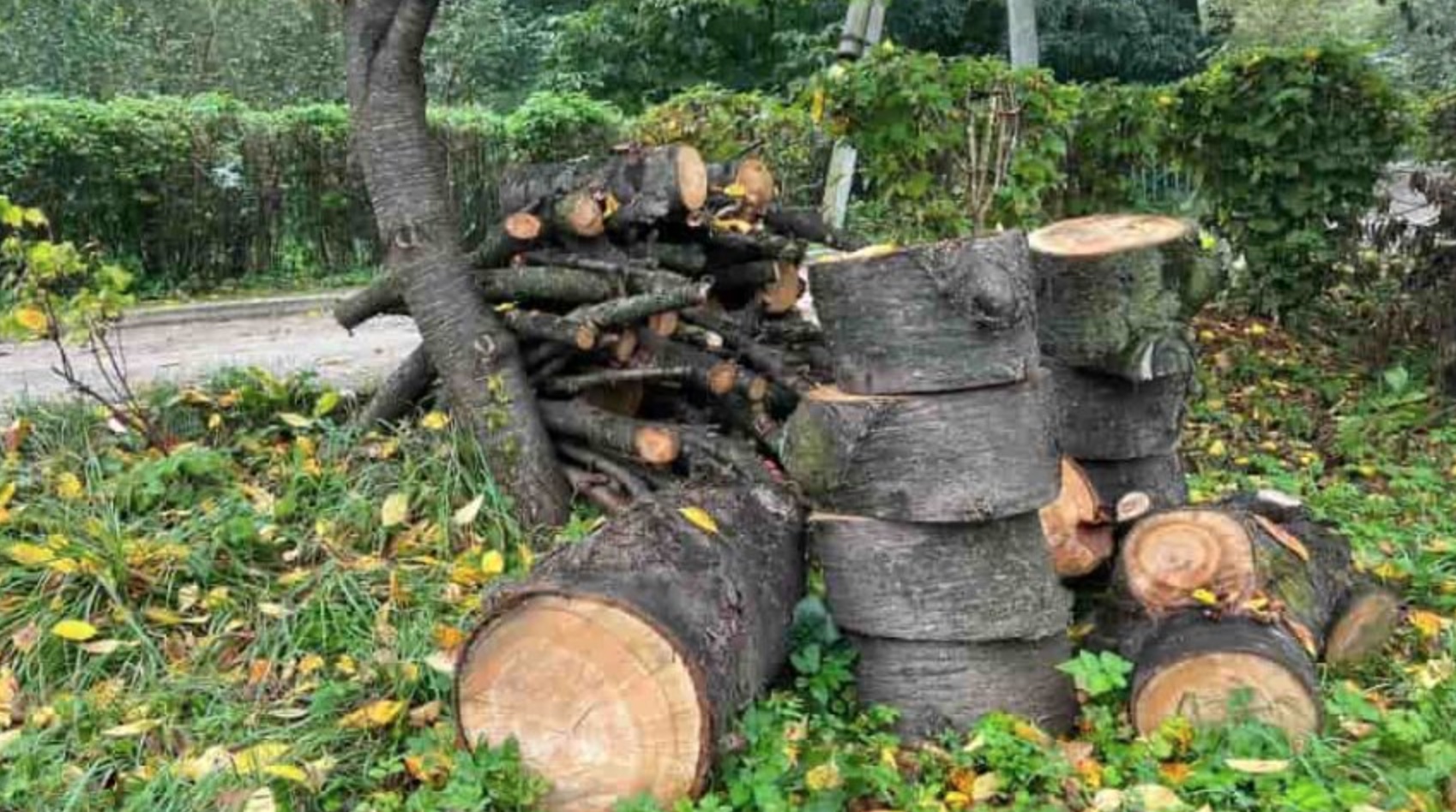 Колись Іван був першим парубком на все село, всі дівчата самі бігали за ним. А йому Ганнуся до ...