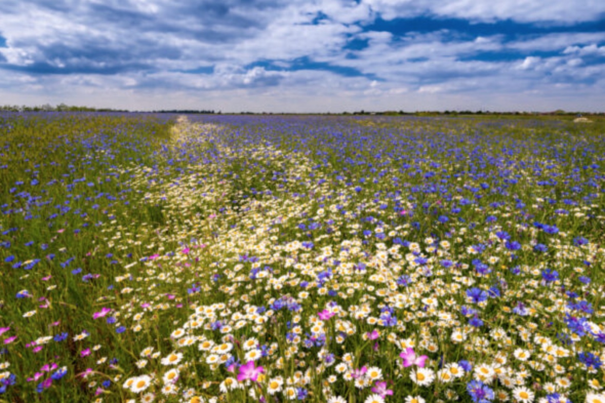 Зрозумій, я ніколи не була проти вийти заміж, більше того , я навіть шукала партнера. Проте ...